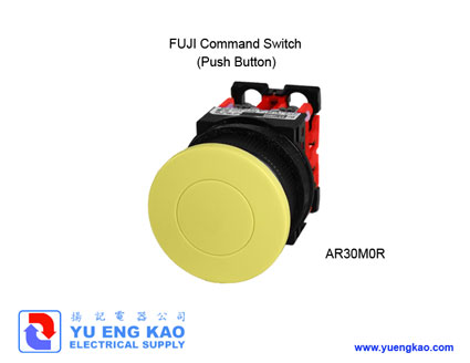 AR30M0R | Fuji Electric | Products | Yu Eng Kao
